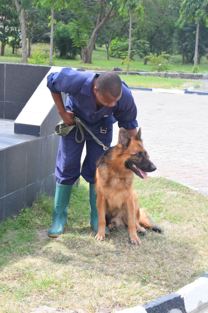 Bidhaa na Huduma - SHIRIKA LA UZALISHAJI MALI LA JESHI LA KUJENGA TAIFA
